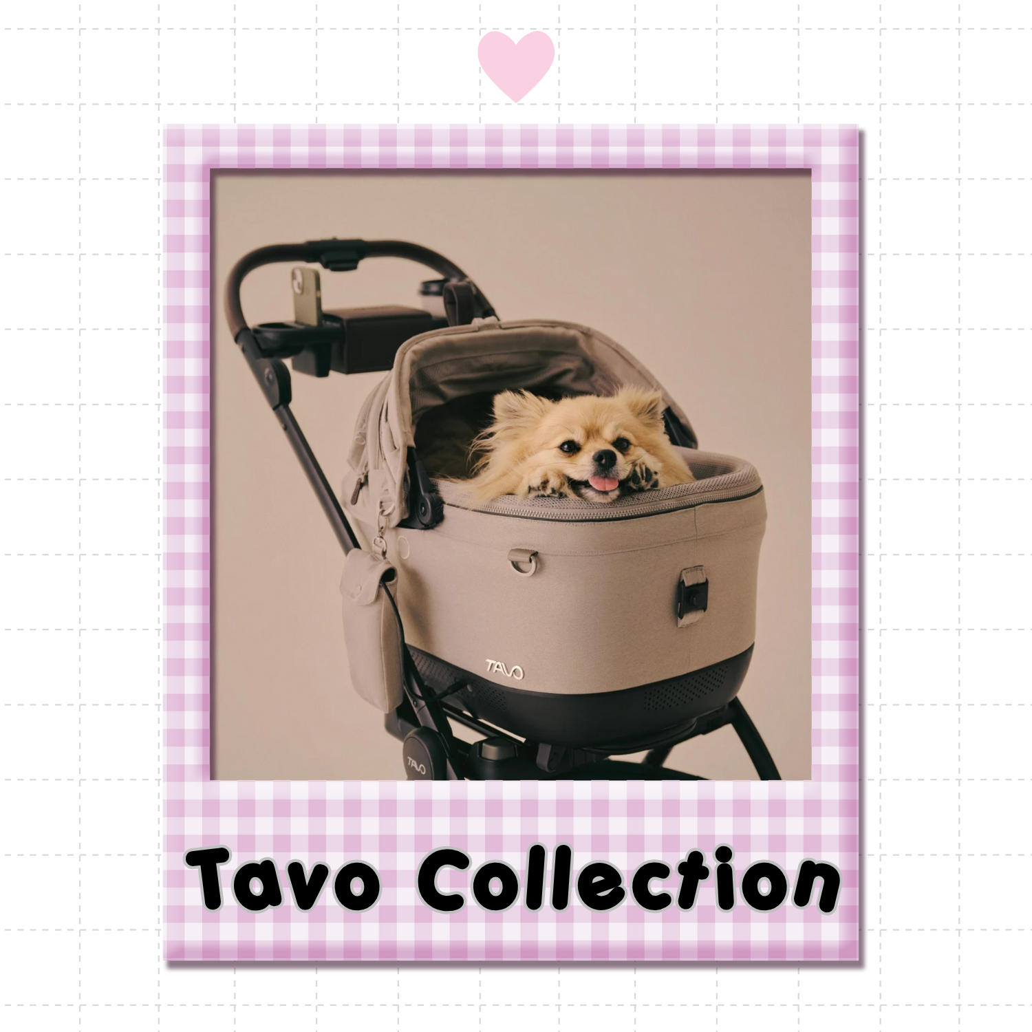 Tavo Pet Carrier Systems – Pixie Sticks Dog Boutique